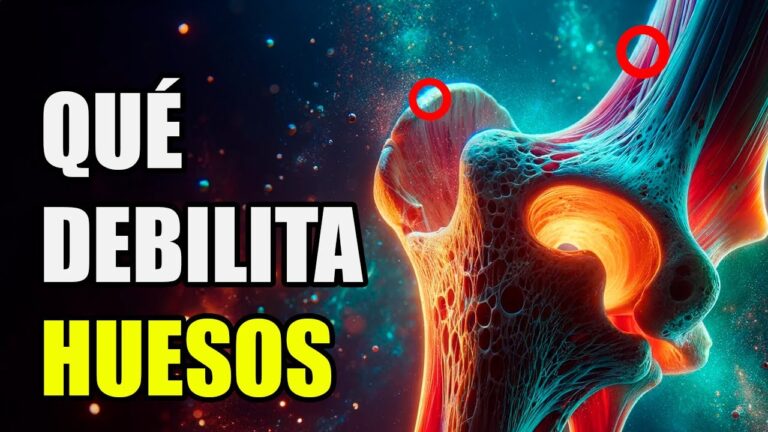 Efectividad de los Tratamientos para la Osteoporosis | Actualizado ...